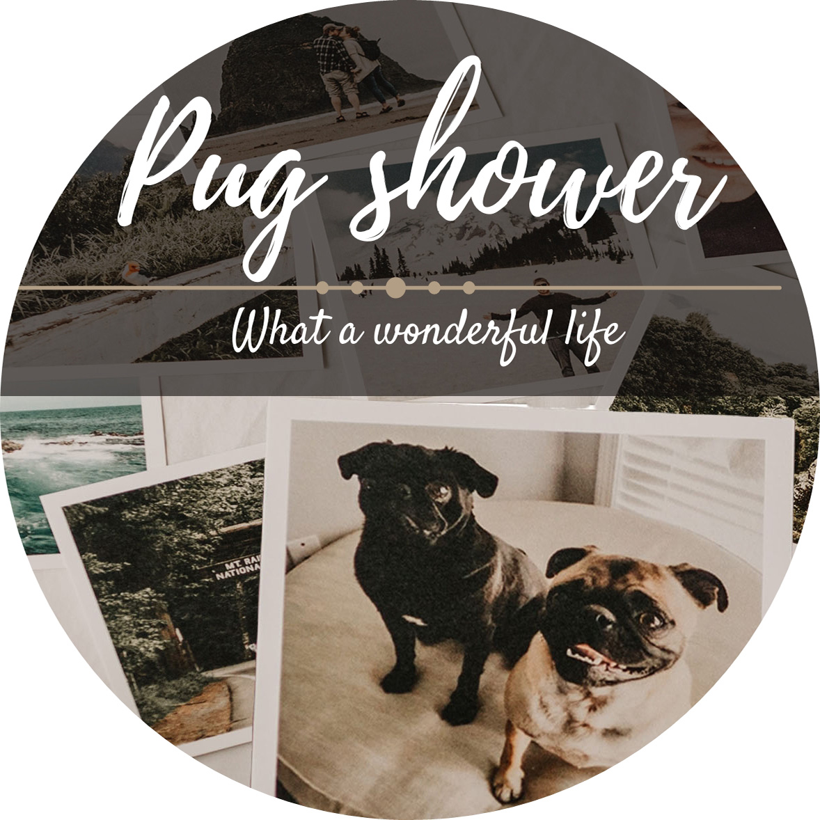 アイコン画像 pug shower | 台東区浅草橋のギャラリー「TODAYS GALLERY STUDIO」